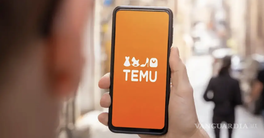Haz crecer tu negocio: Temu abre su programa de vendedores locales en ...