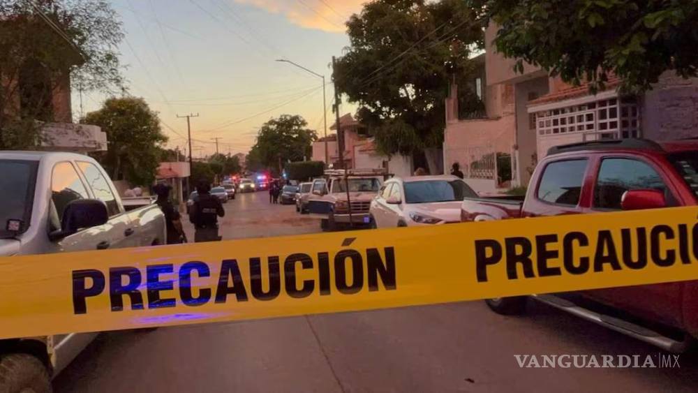 Ejército halla tres explosivos artesanales en Escuinapa; reportan doble ...