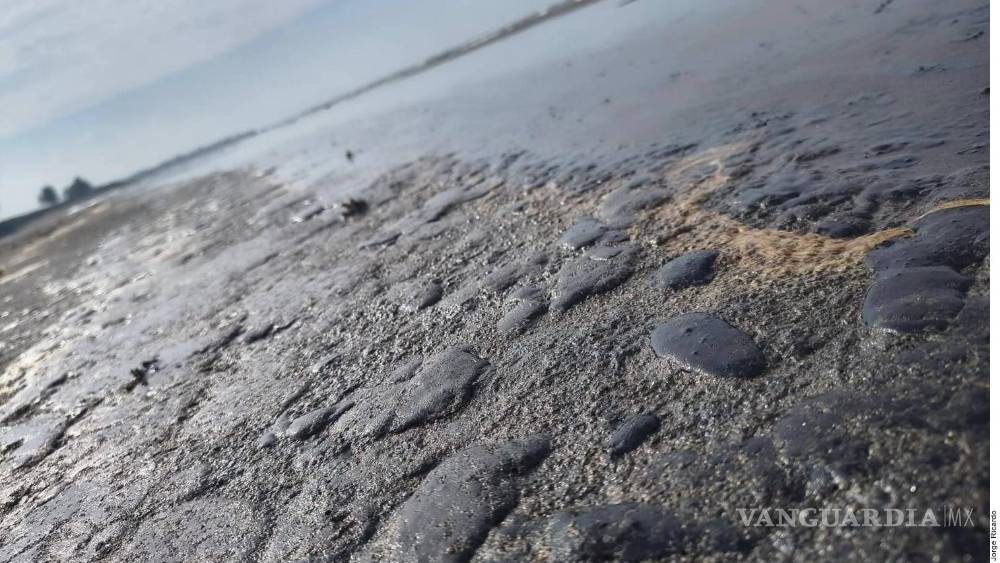 Presenta Greenpeace denuncia ante Pemex por derrame en el Golfo; pide ...