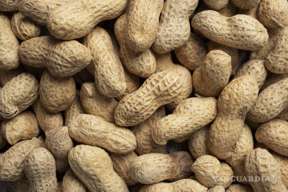 Cacahuate: Historia, sabor y una receta para enamorar al paladar