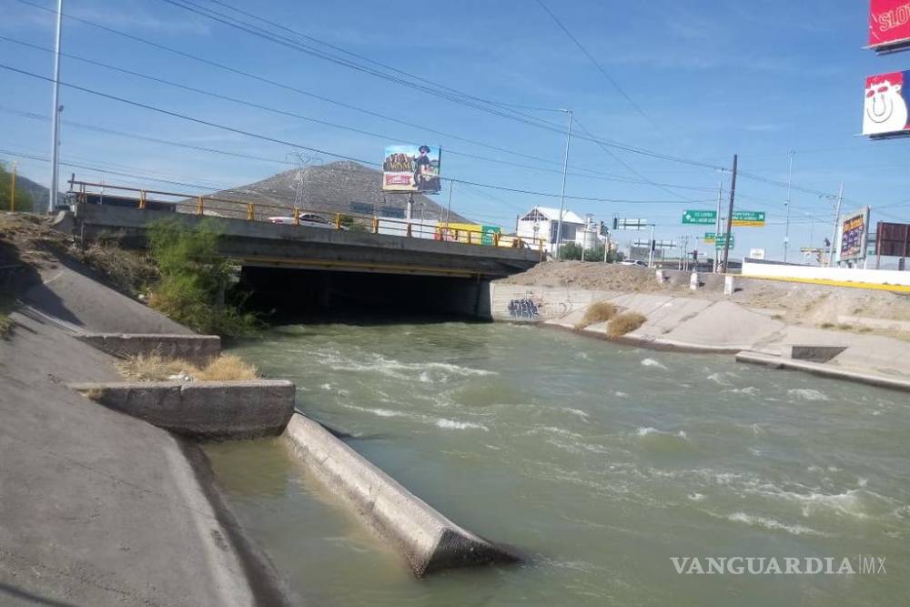 Organizaciones ambientales de La Laguna proponen que todo el año corra ...