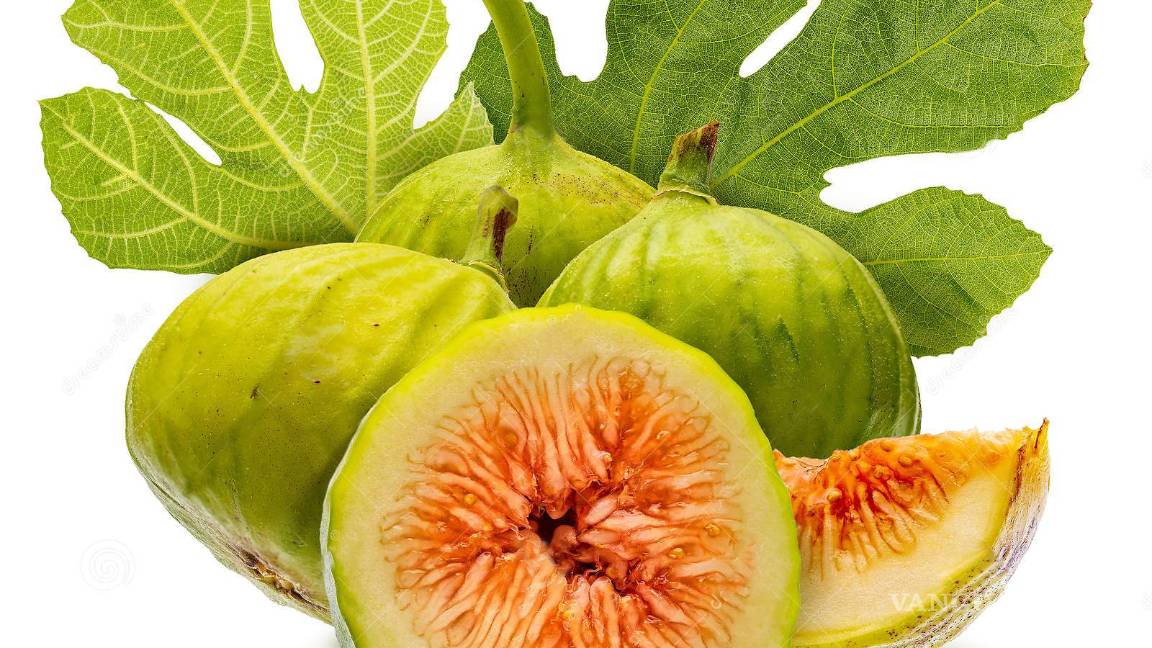 Apuesta Coahuila por la cosecha de higo