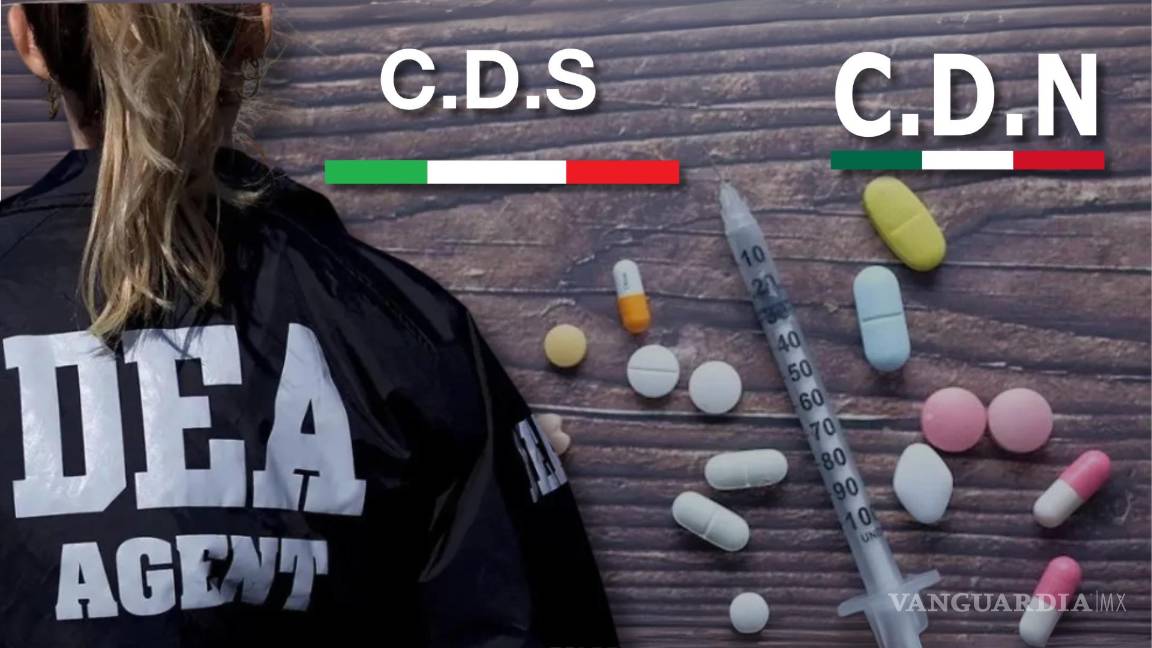 ‘La Mayiza’ tiene una alianza de negocios con el Cártel del Noreste ...