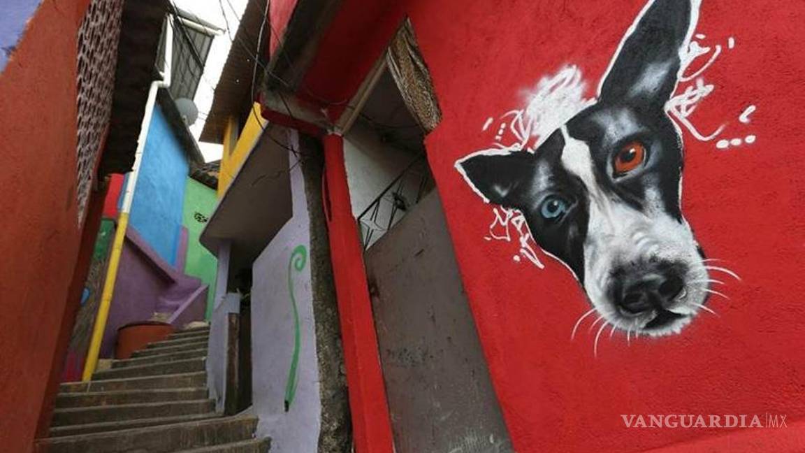 Favela se convierte en galería de street art