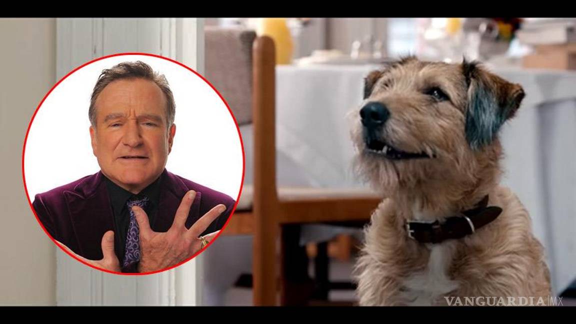 Absolutely Anything, la última película de Robin Williams