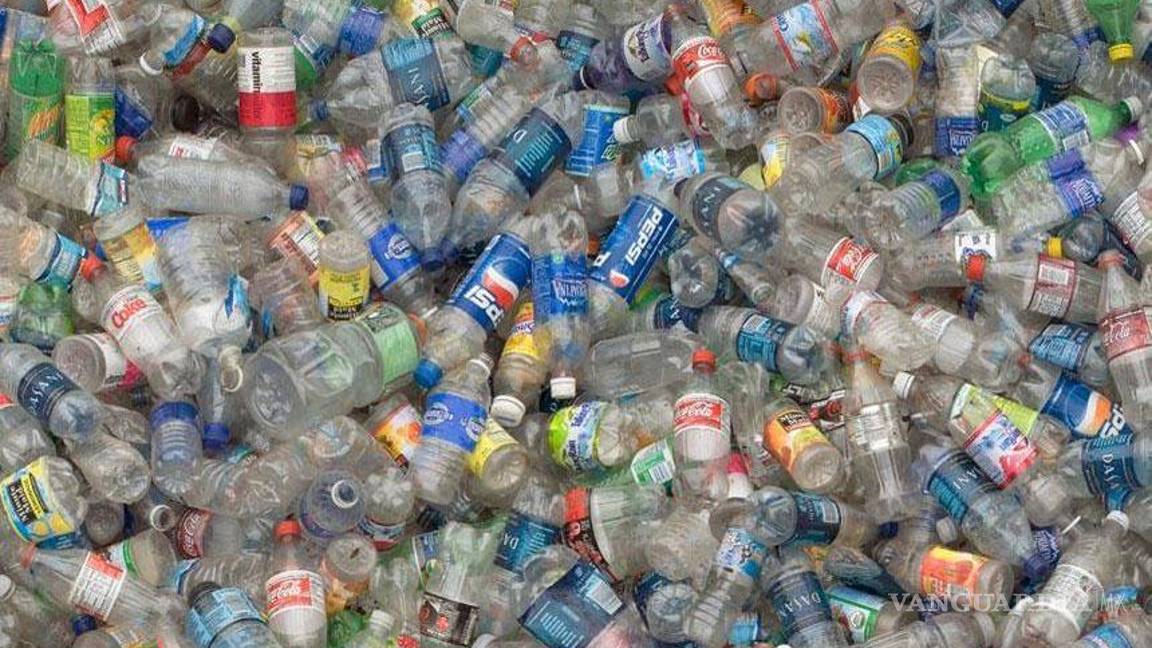 México, líder en reciclaje de PET gracias a pepenadores