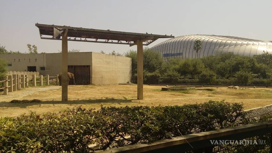 Polémica en Nuevo León por ubicación del Parque La Pastora
