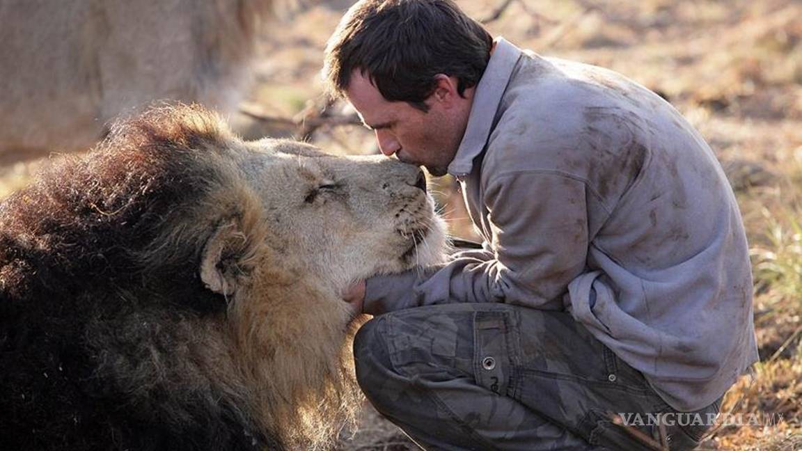 Estudios científicos hallan actitudes similares entre hombre y animal