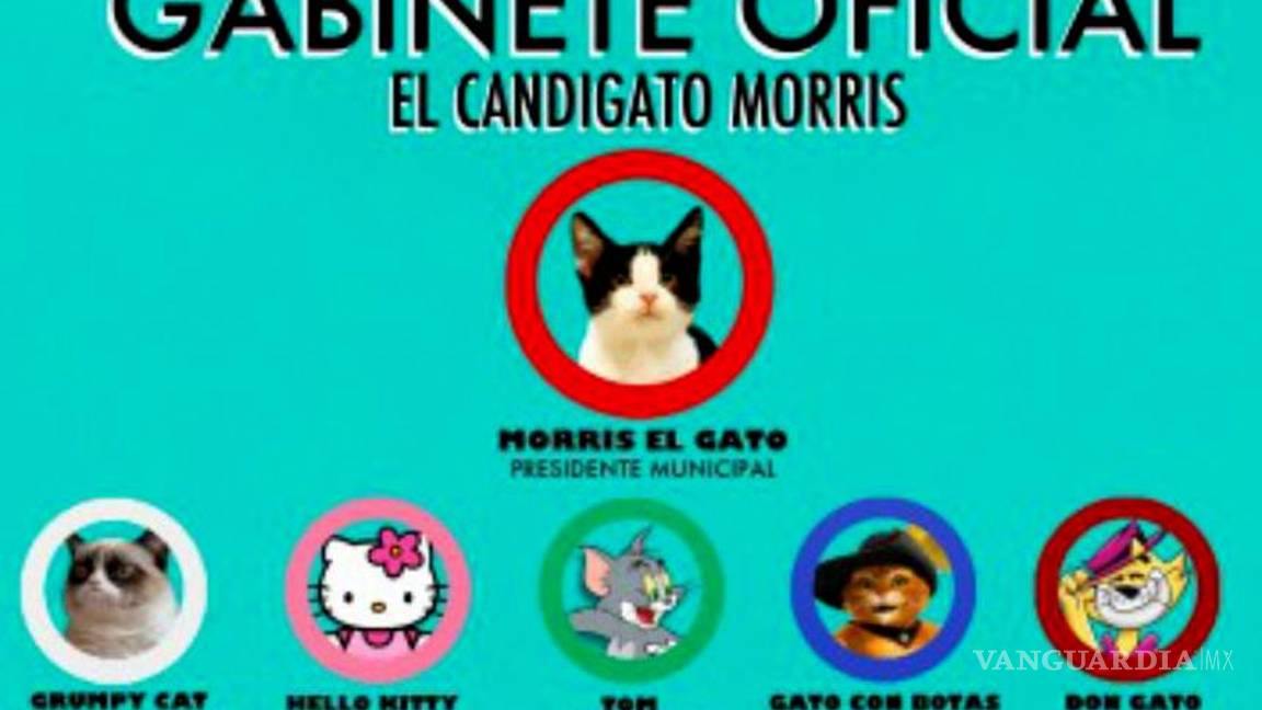 'Candigato Morris' estrena spot y 'destapa' gabinete