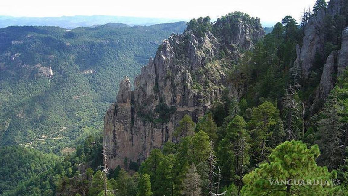 Protegerá Semarnat área boscosa de Santa María de Ocotán, Durango