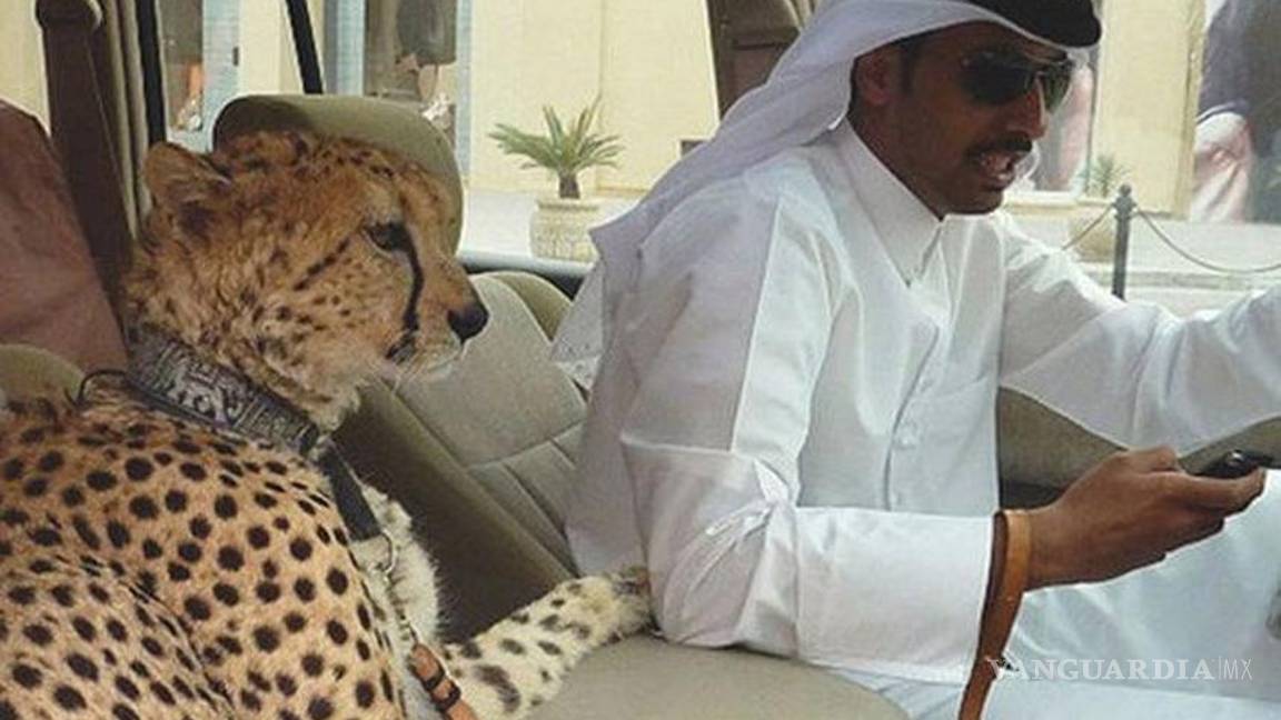 Entre oro y fieras, la vida de los millonarios en Dubai