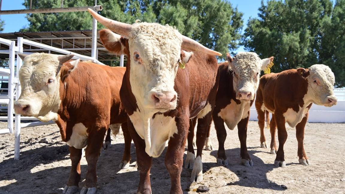 Participan 20 agroempresas mexicanas en la United Fresh Show 2015 en ...