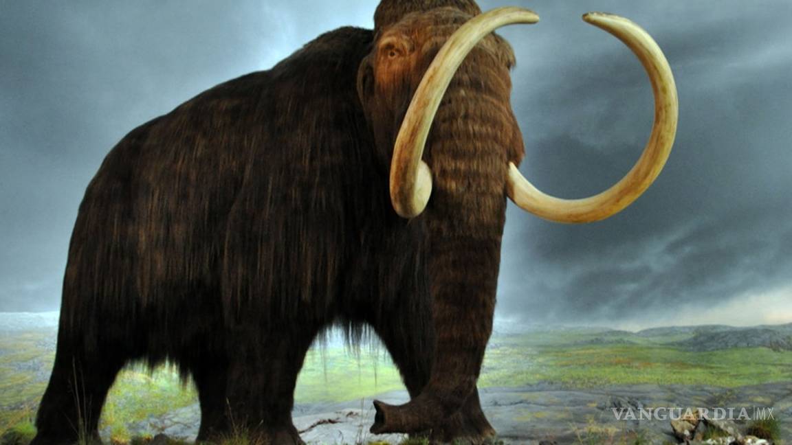 Científico estadounidense quiere revivir a los mamuts