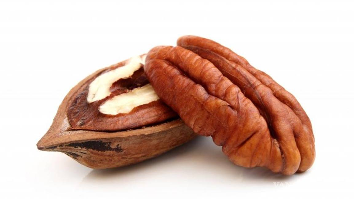 Nuez de calidad para el mundo desde Jiménez, Coahuila