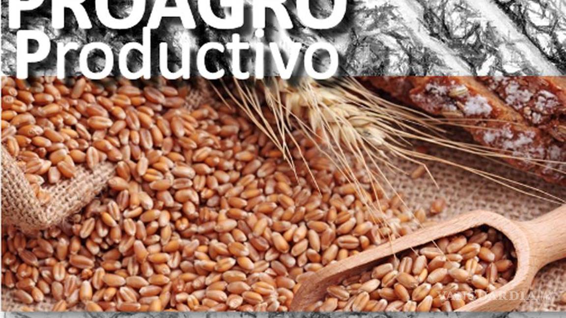 Avanza entrega de Proagro Productivo en Torreón