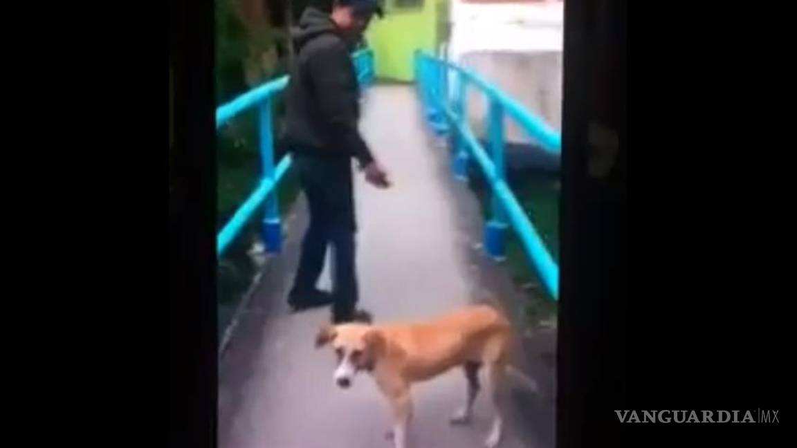 Joven patea y lanza a perro de puente en Veracruz