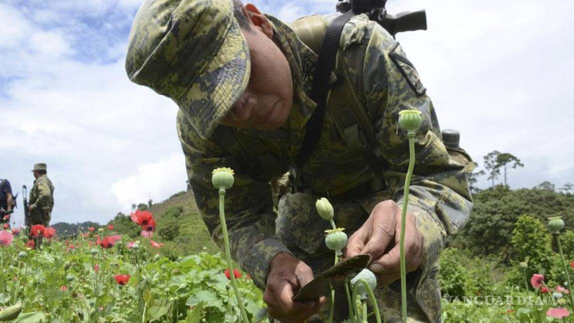 Consumo de opio se extiende en México