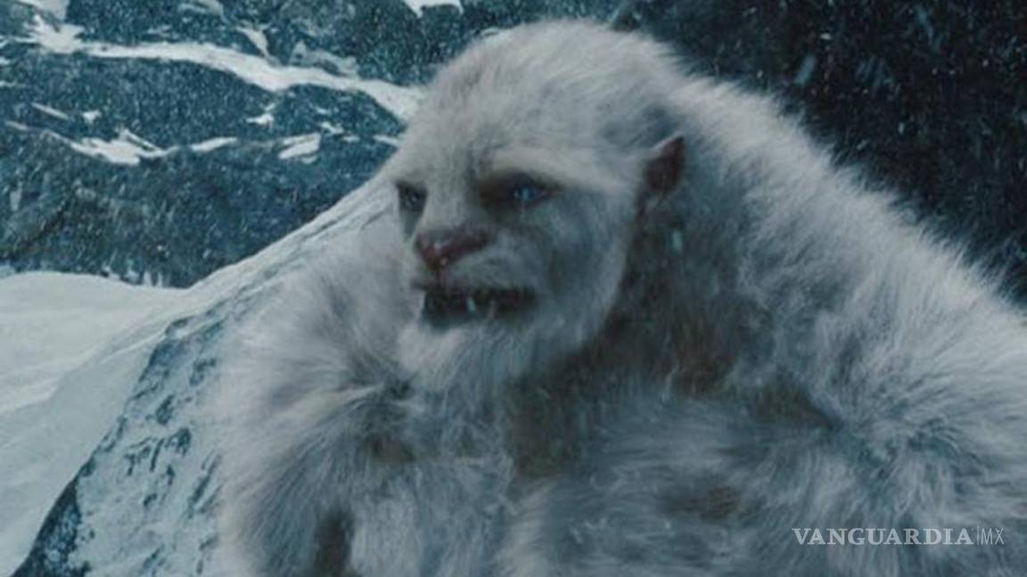 Estudio afirma que el Yeti es un oso