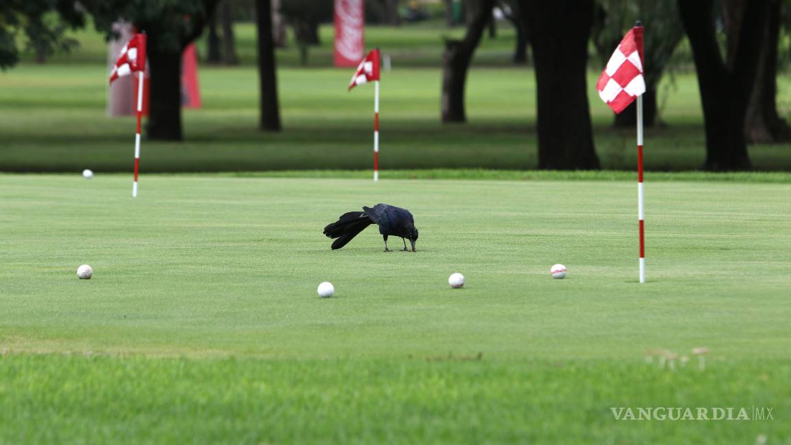 Club Campestre Saltillo supera las intensas lluvias y está listo para jugar