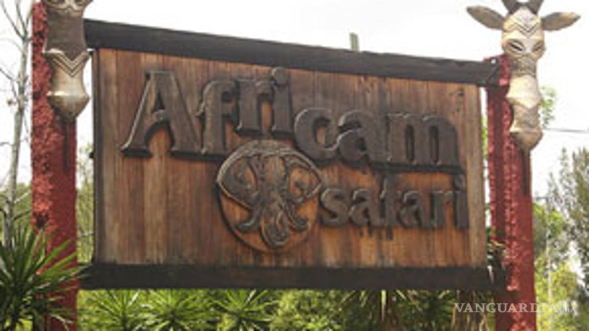 Reconocen como una EFR a Africam Safari