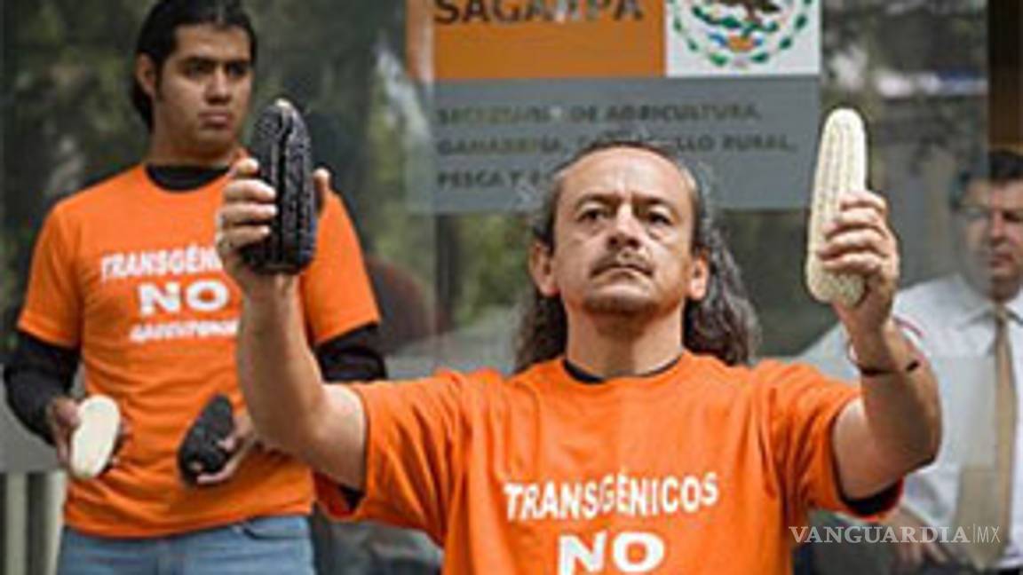 Greenpeace presenta denuncia por transgénicos en México