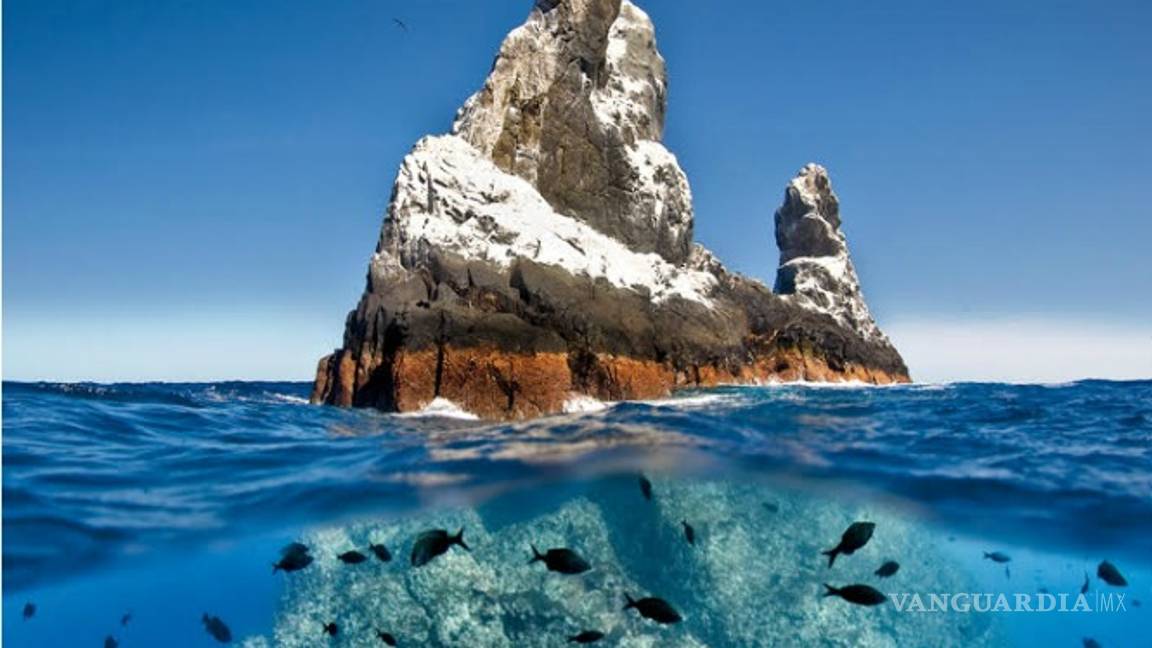 Archipiélago de Revillagigedo ya es patrimonio mundial de la Unesco