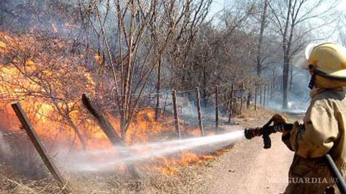 Controlan en 40% incendio forestal en Santiago, NL Controlan en 40% incendio forestal en Santiago, NL