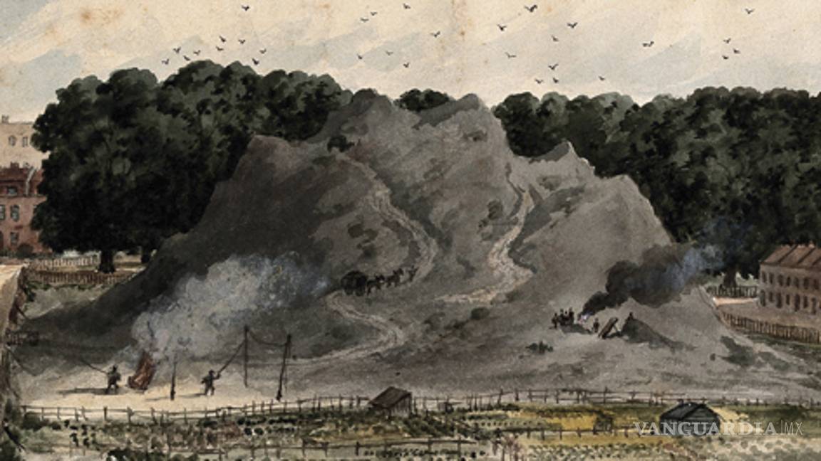 Exposición explora la importancia de la suciedad