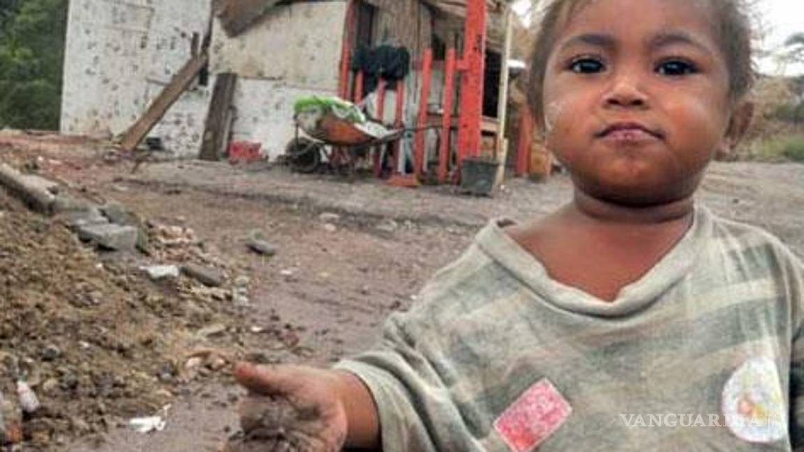 Inservible, una cuarta parte de la tierra cultivable del planeta