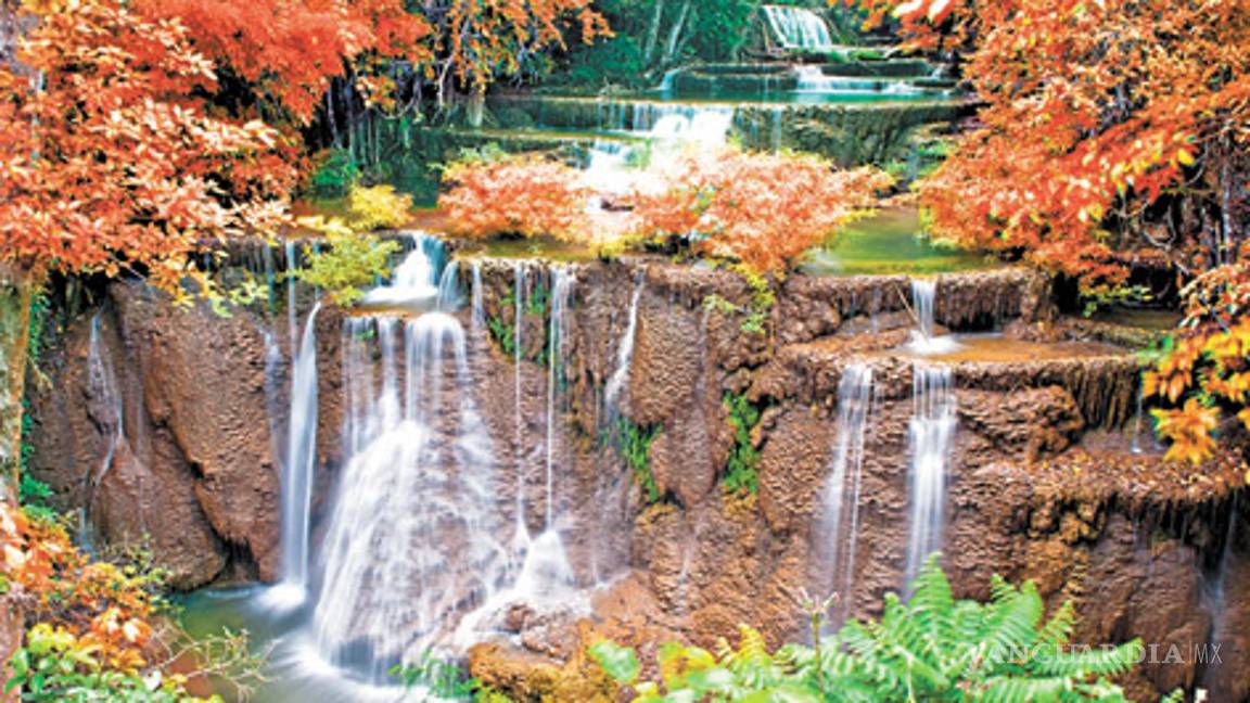 México, rico en biodiversidad; tercer lugar en el mundo