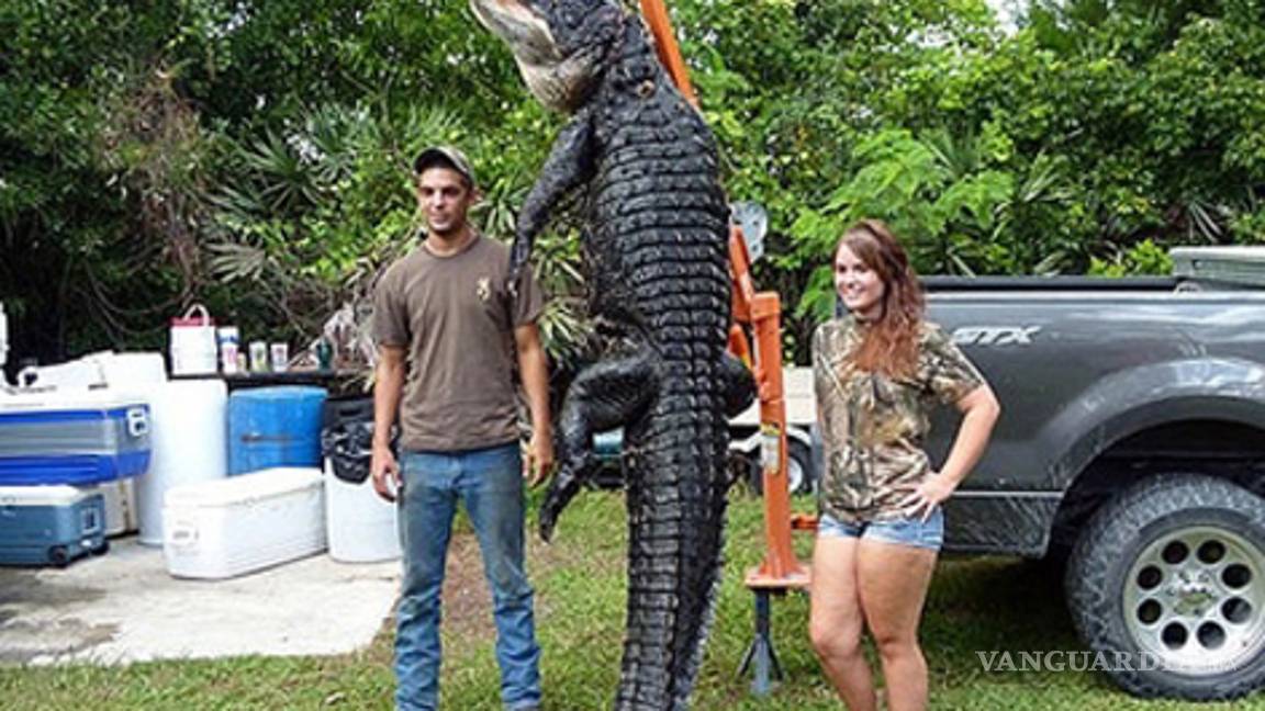 Capturan en EU un caimán de 360 kilos