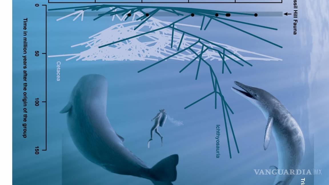 Los ictiosaurios, los primeros gigante en la Tierra