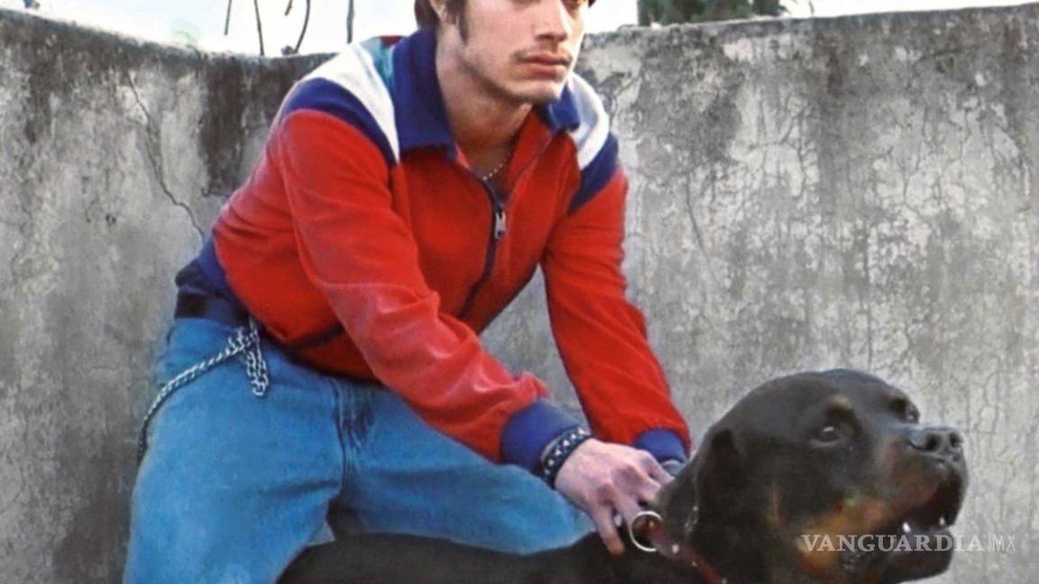 “Amores Perros” vuelve para el Día Nacional del Cine Mexicano