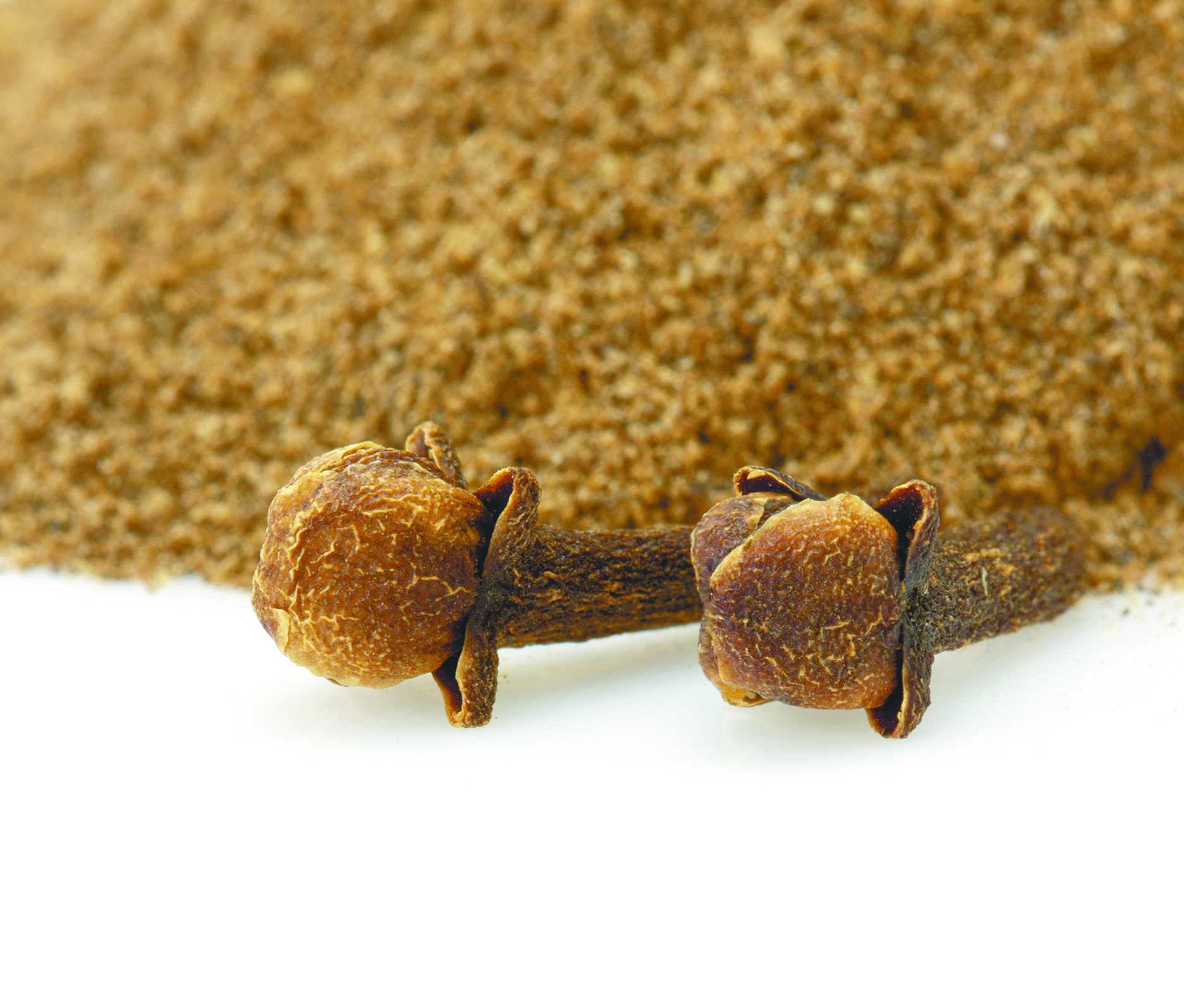 Historia del clavero