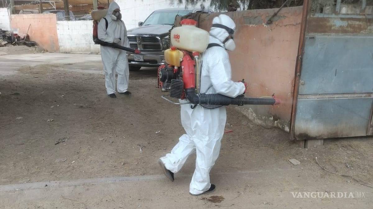 Intensifican en Torreón fumigación y control contra vectores