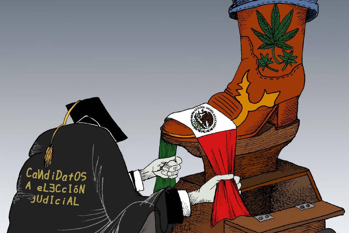 Elección judicial: Complicidad y servilismo