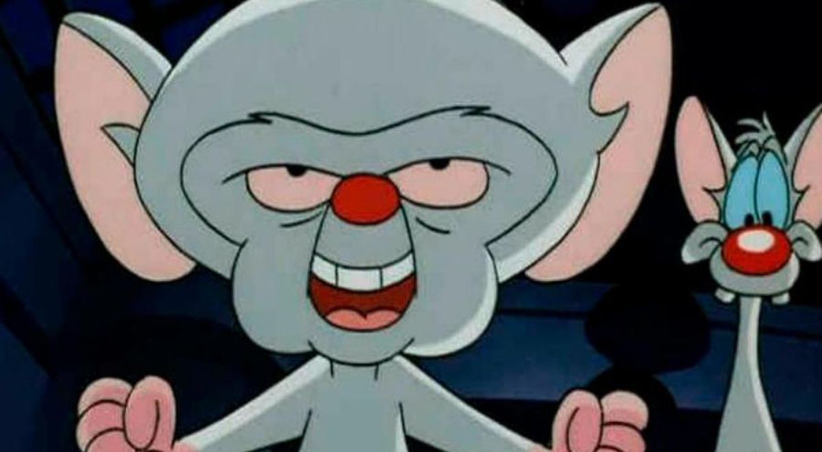 ¡Pinky y Cerebro regresarán a la televisión! y con nuevos capítulos