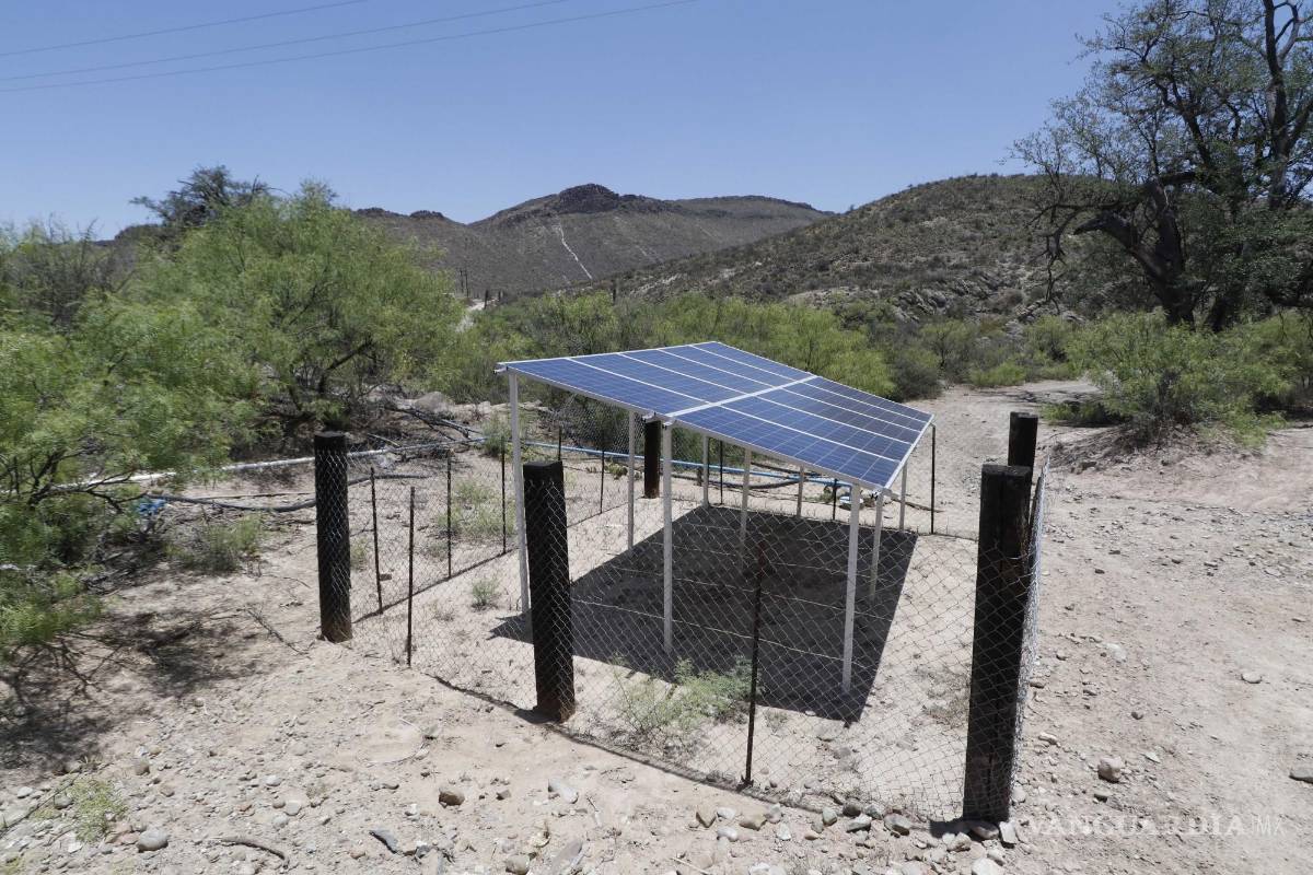 Coahuila: pierden becerros y usan agua azufrosa por sequía