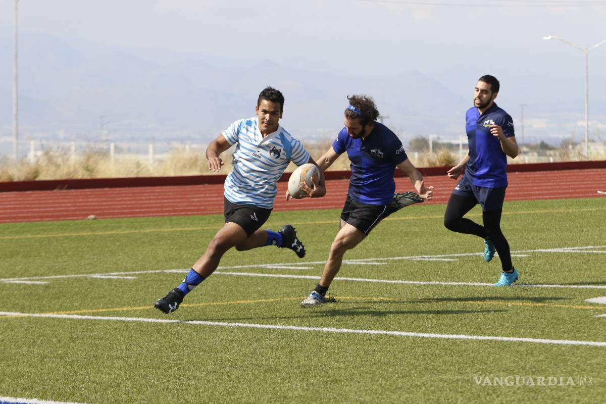 Lobos a debutar con fuerza en nacional de Rugby