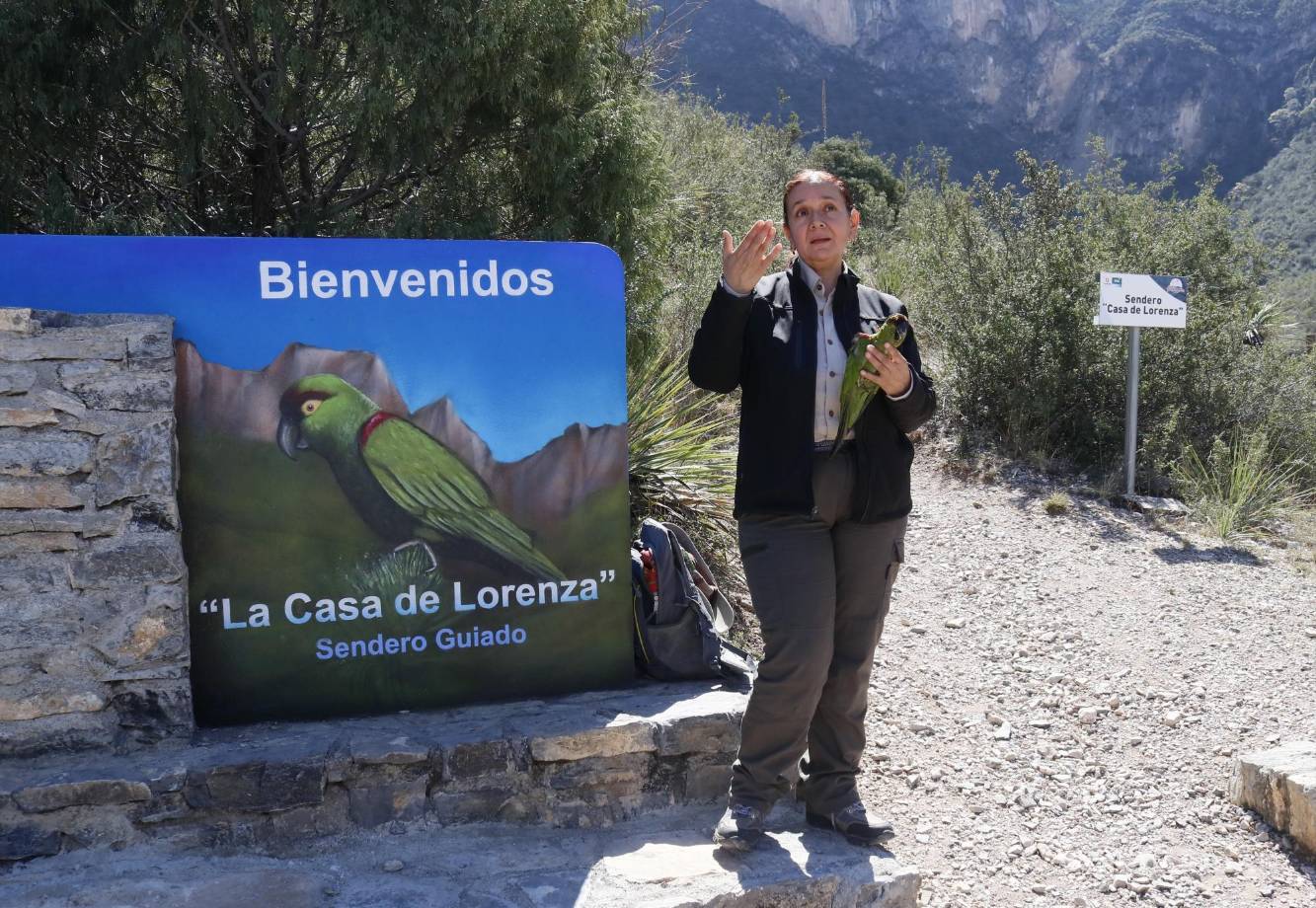 Una mujer guardabosque: Dora Elia Ruiz, encargada del programa de ...