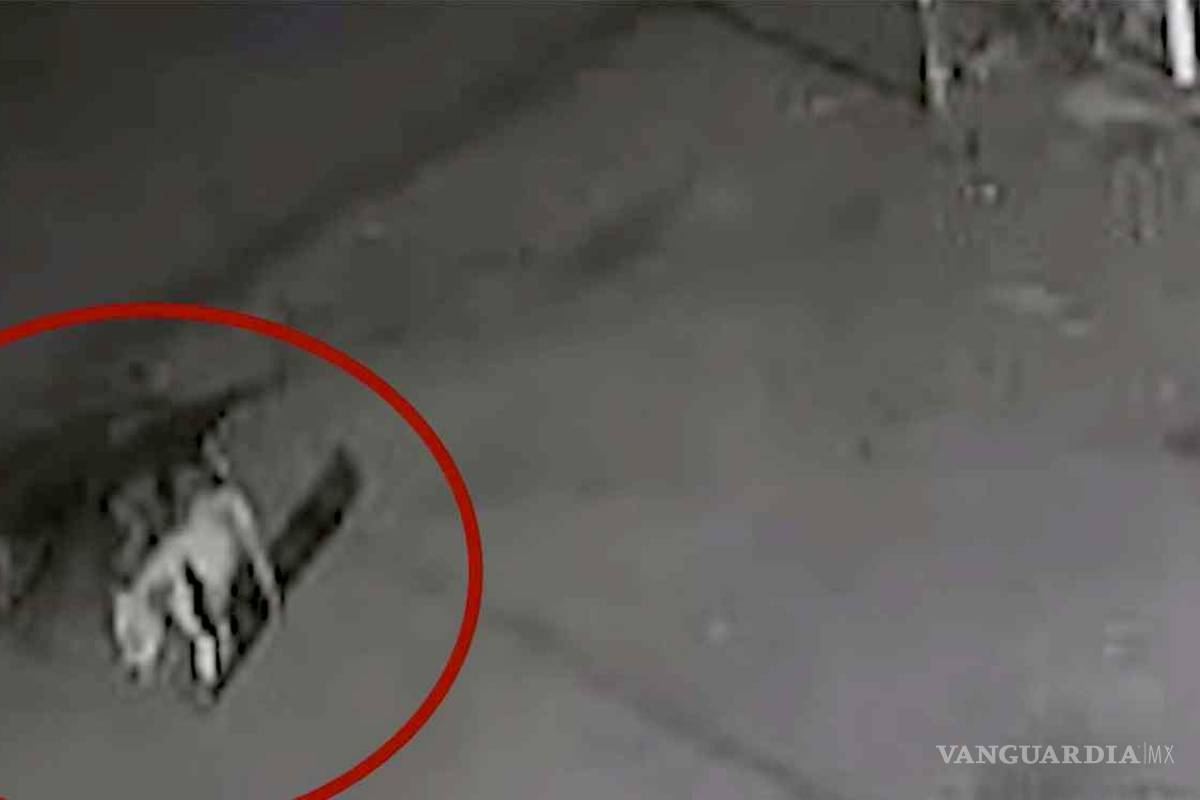 Mujer muere tras ser brutalmente atacada por tres perros