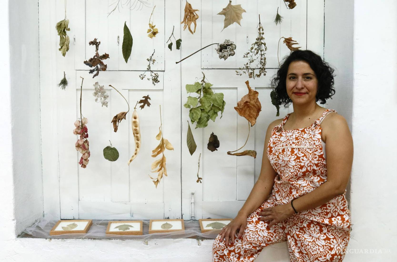 En la exposición ‘Los jardines que siempre existieron’ Talía Barredo ...