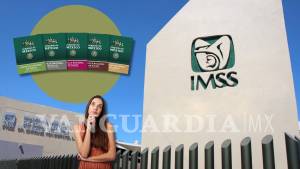 ¿Perdiste tu cartilla del IMSS? Aquí te explicamos paso a paso cómo ...
