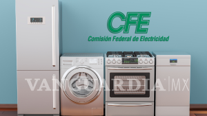 CFE renueva tus electrodomésticos en 2025: Así puedes registrarte al ...