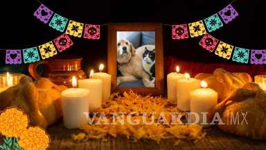 Día de Muertos: ¿Cuándo se coloca la ofrenda a las mascotas difuntas?