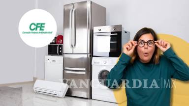 CFE y Programa ASI: Estos son los requisitos para renovar ...