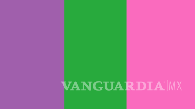 ¿Qué significan los colores morado, verde y rosa de la bandera del ...