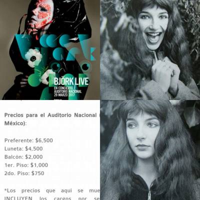 Los memes hacen burla de la llegada de Björk a México