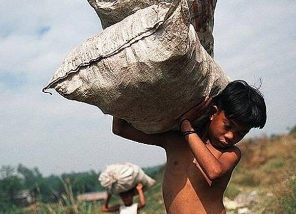 ONG alerta sobre explotación infantil en el campo