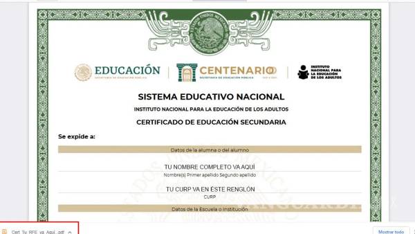 Certificado SEP... así puedes descargar GRATIS los certificados de ...